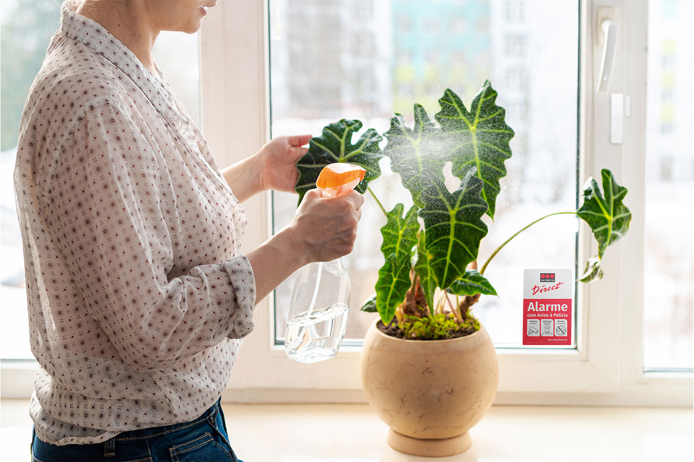 Alarmes para casas e empresas | Securitas Direct Portugal